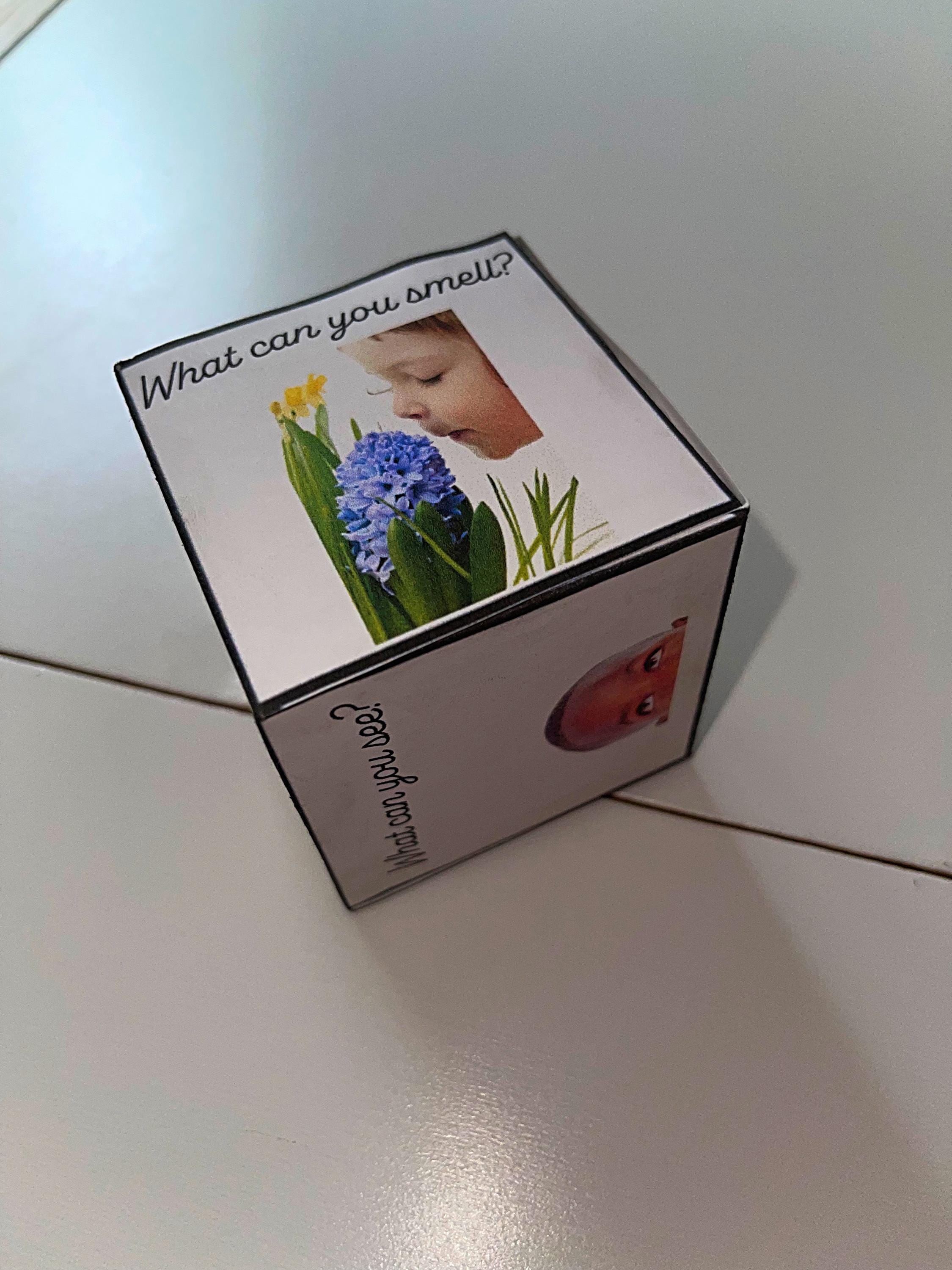 The 5 Senses Learning Pack - Etsy