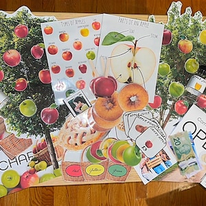 Apple Orchard Dramatic Play Printables - Etsy