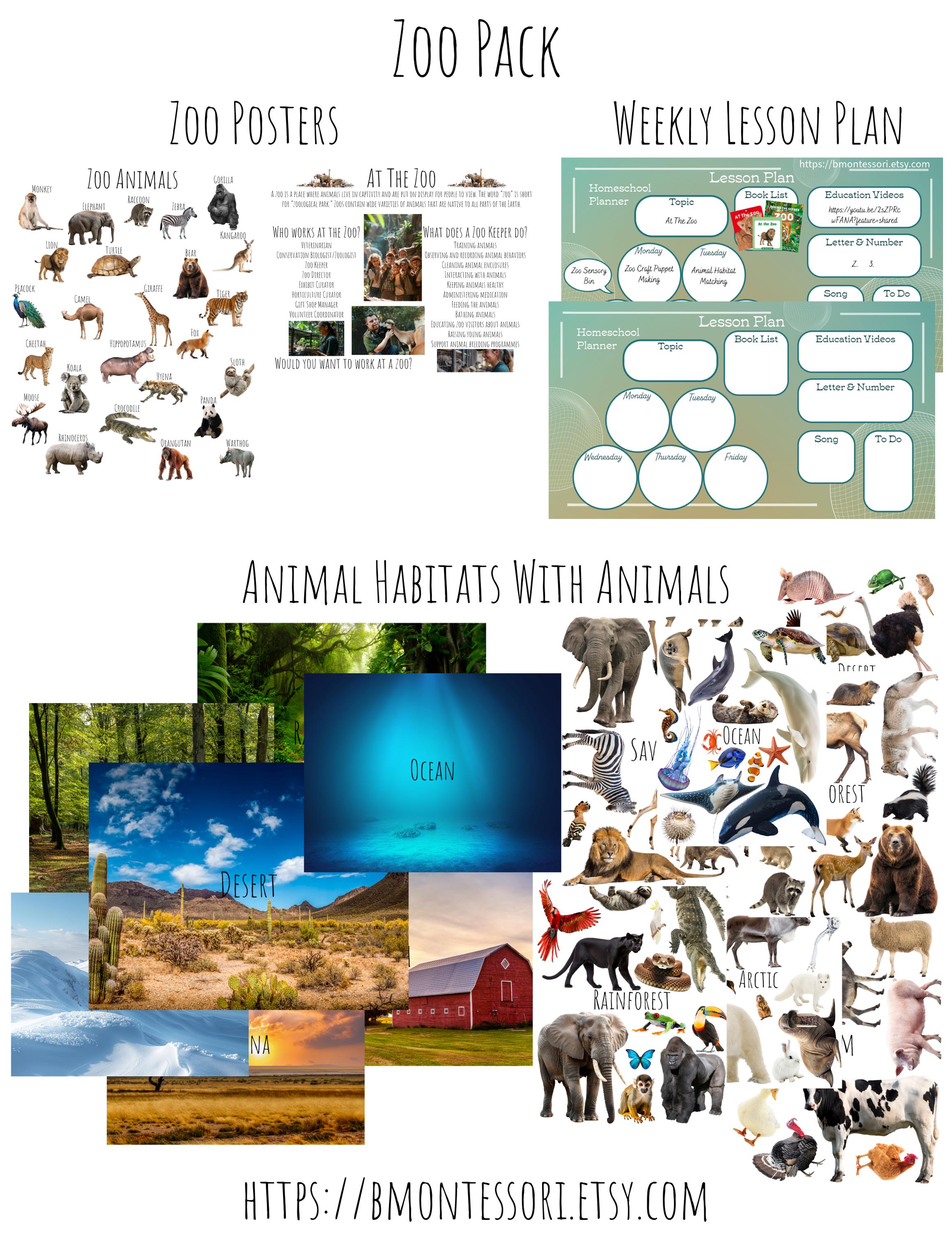 Zoo Mini Unit, Preschool, Homeschool Resources. Learn About Animals ...
