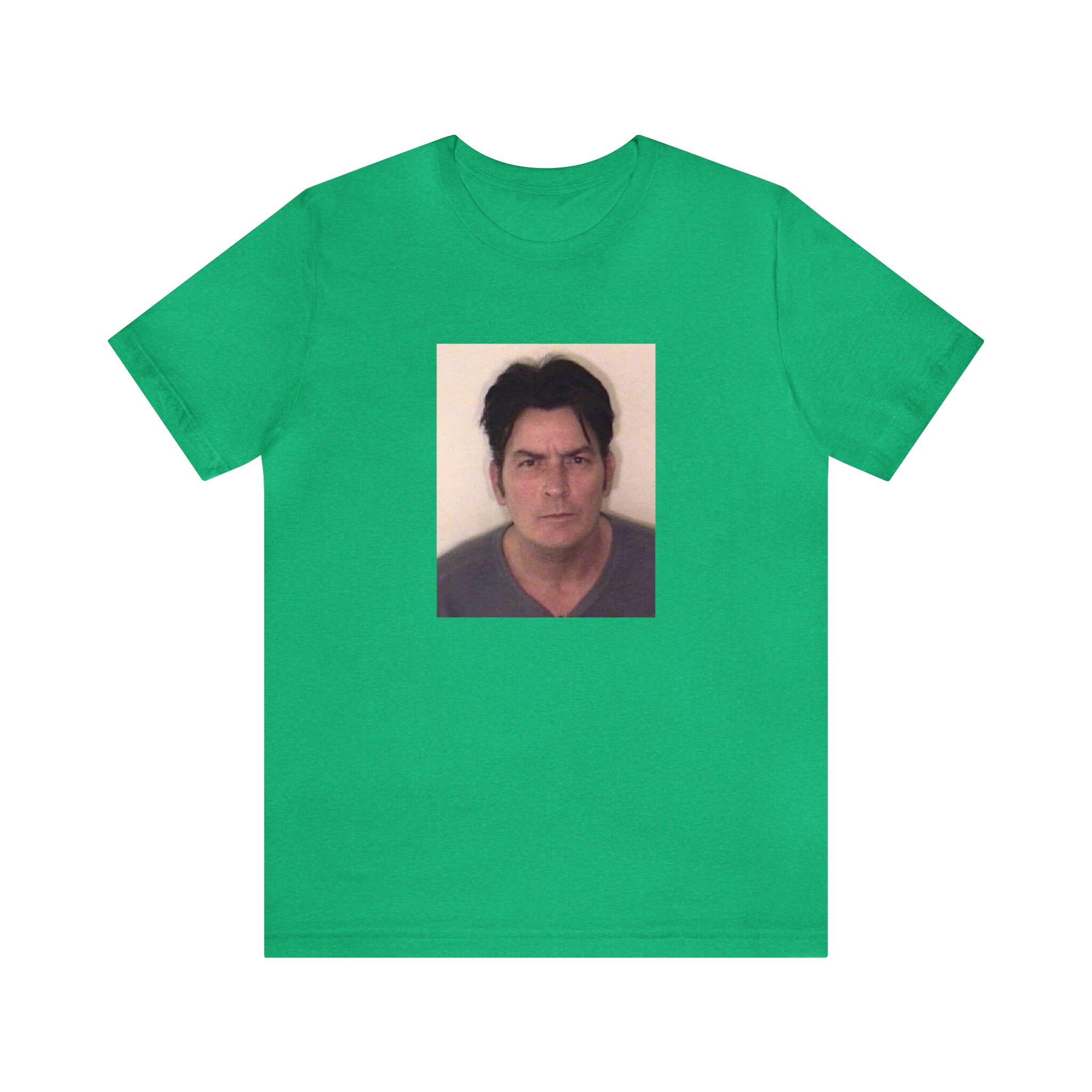 Charlie Sheen Mugshots