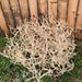 Tumbleweed - Etsy