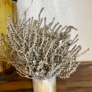 Tumbleweed - Etsy