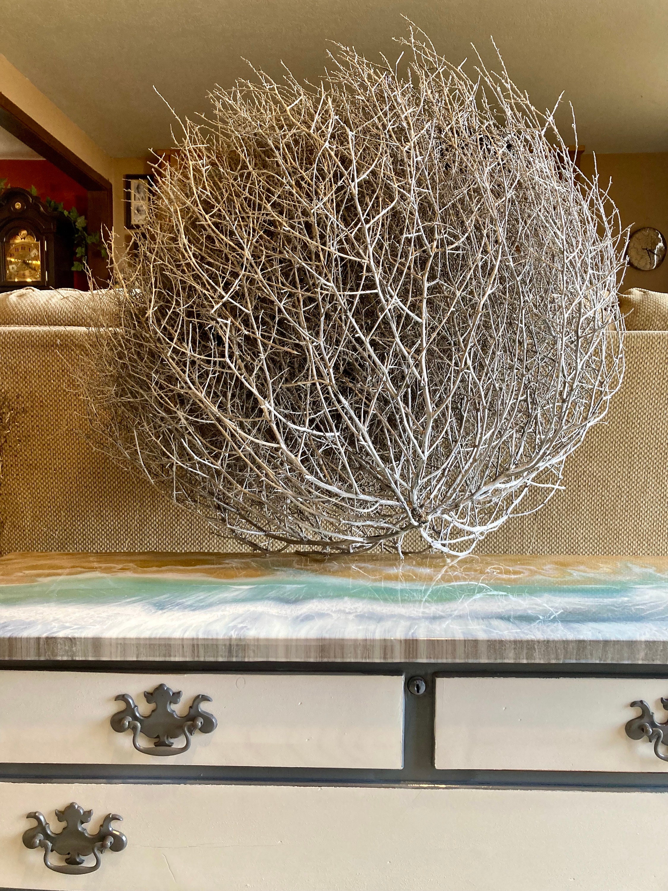 Tumbleweed - Etsy