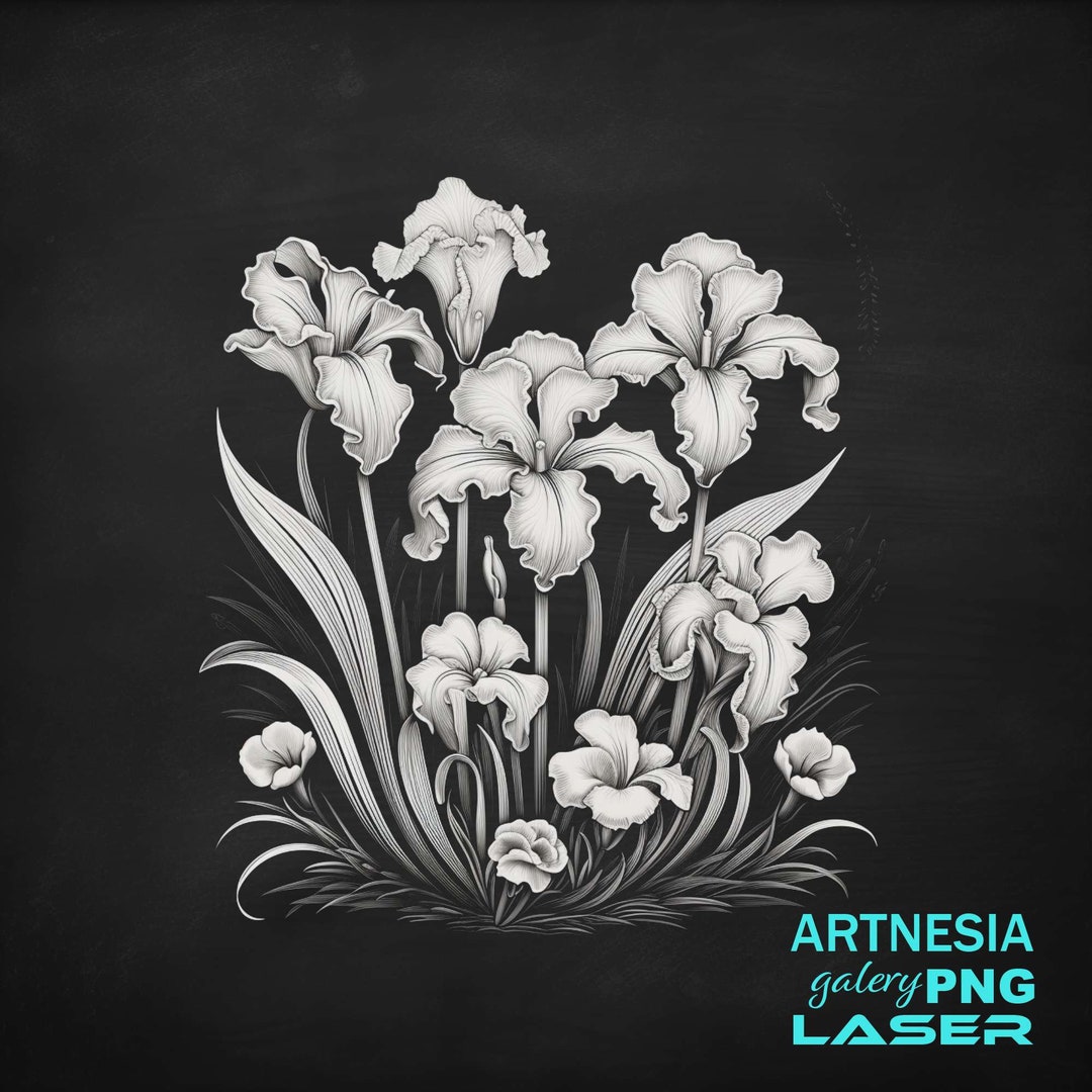 Iris Flower PNG Laser Engraving File for Slate Coaster, Laser Ready ...