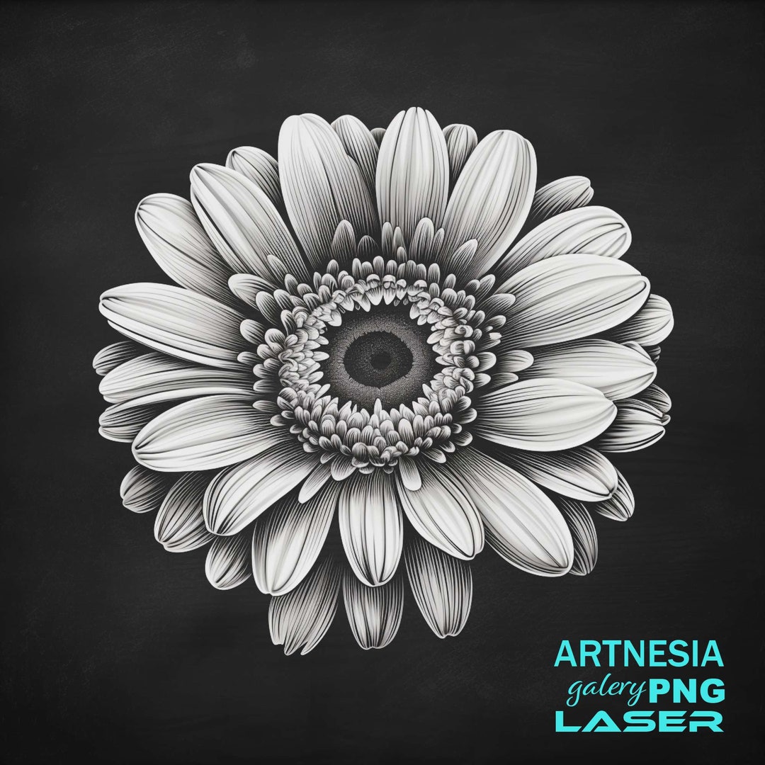 Gerbera Flower V2 PNG Laser Engraving File for Slate Coaster, Laser ...