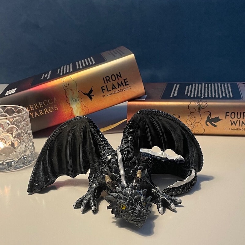 Fourth Wing Funko Pops - Etsy