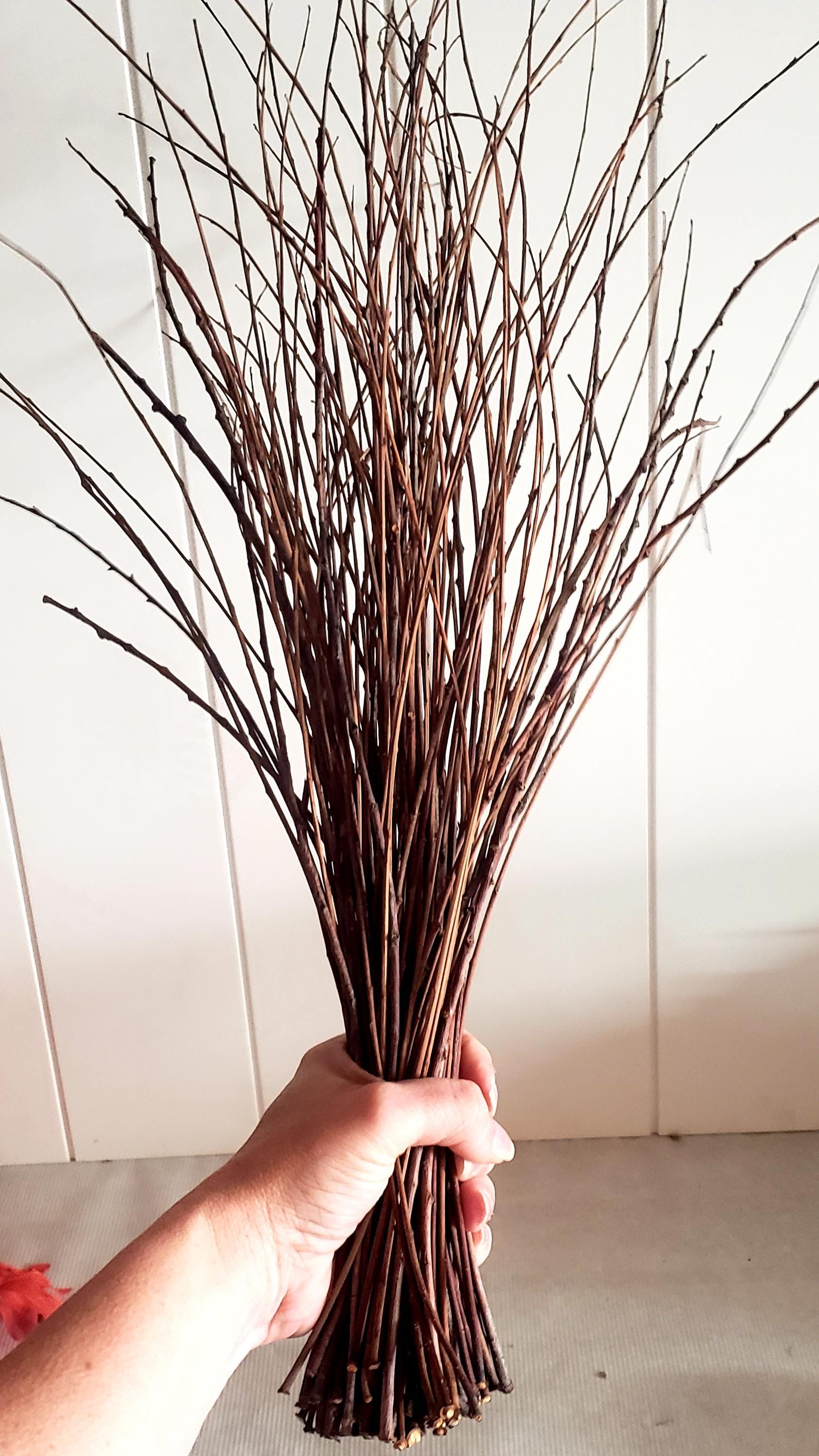 Dried Willow Twigs | Natural, Spray-paintable, and Long-lasting | New ...