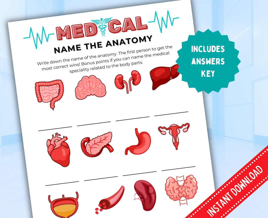 Medical Name the Anatomy | PRINTABLE Medical Game | Doctor Nurse Fun ...
