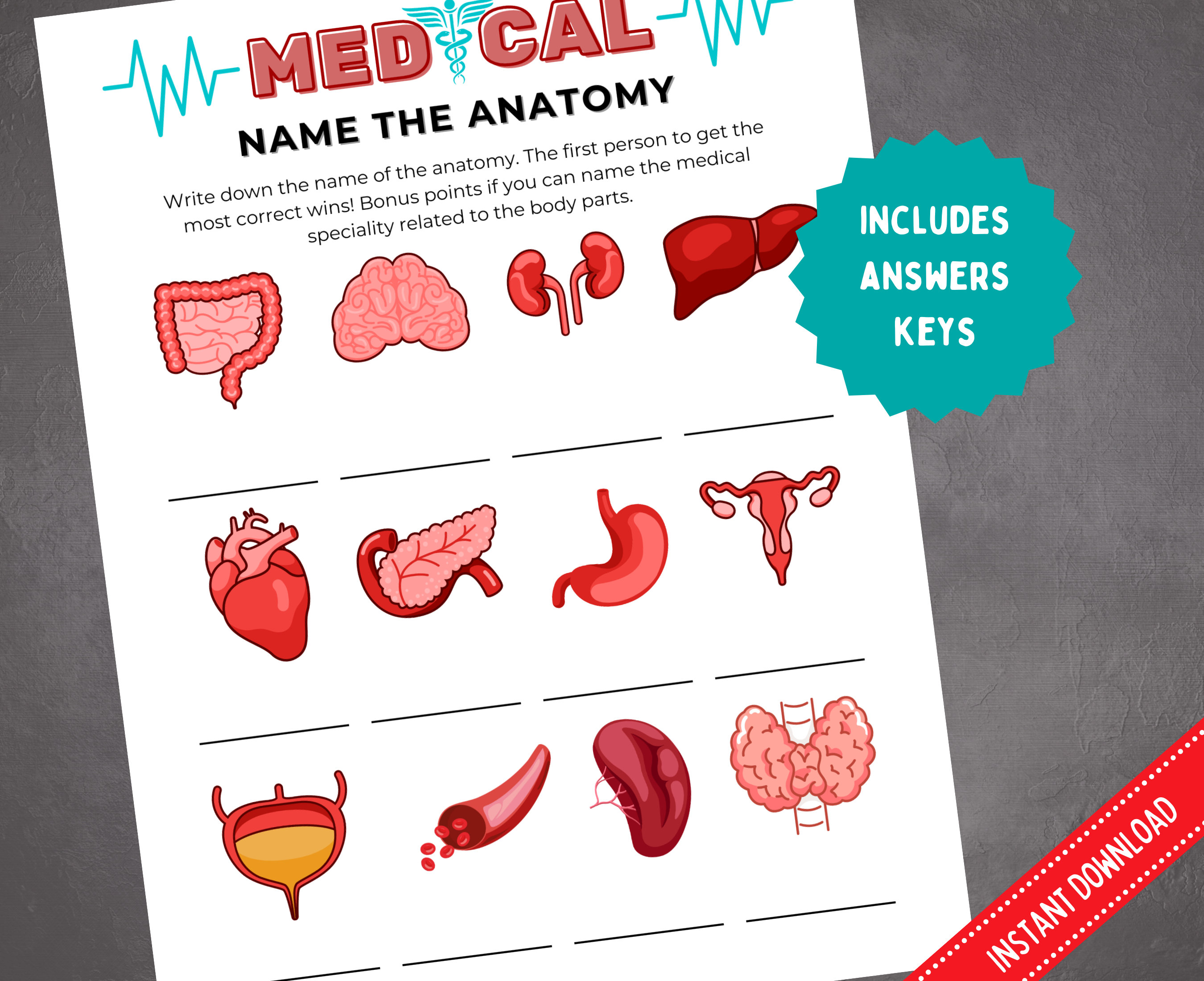 Name the Anatomy Medical Game: Printable Doctor Nurse Graduation (PDF ...