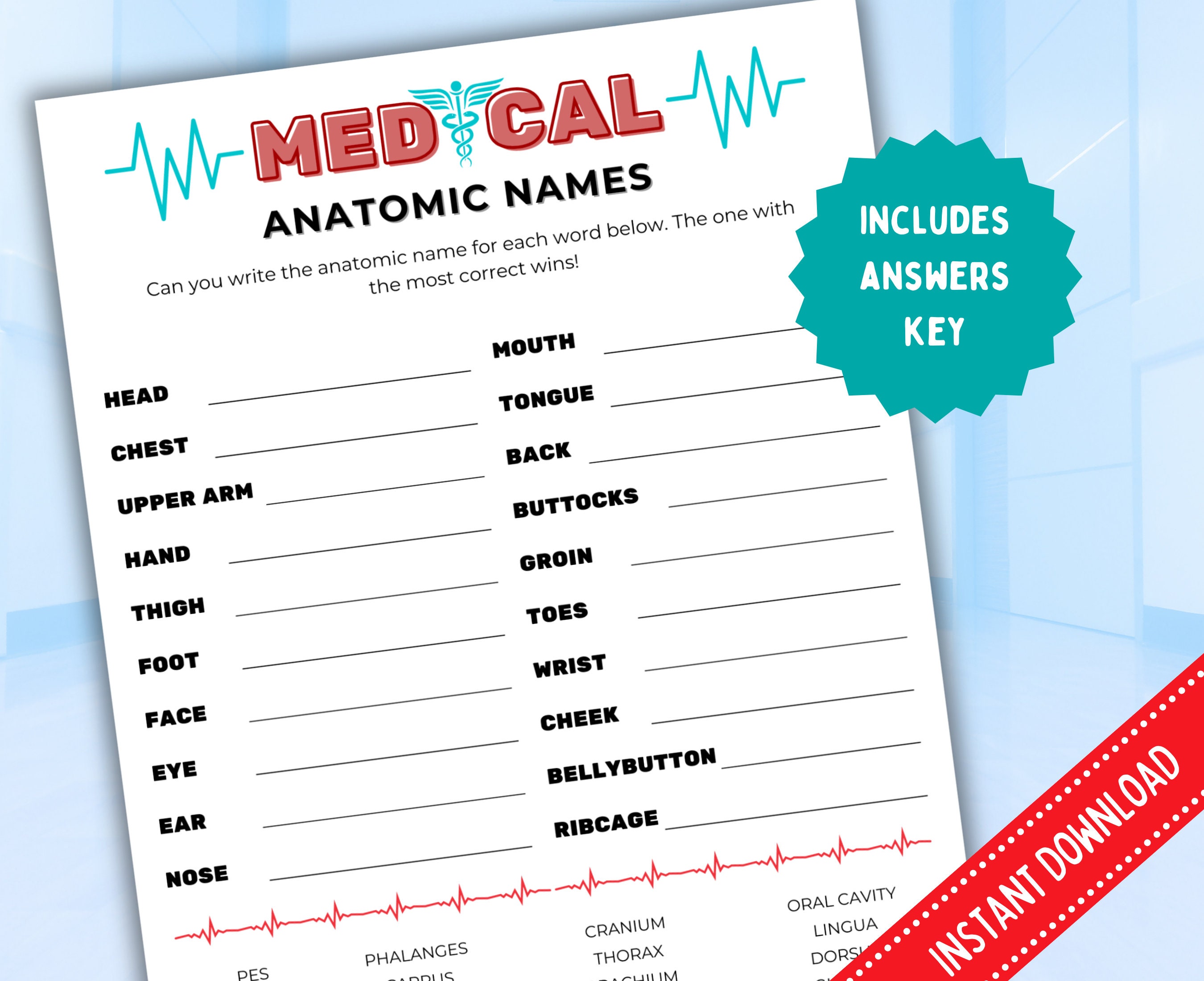 Medical What is the Anatomical Name? | PRINTABLE Medical Doctor Nurse ...