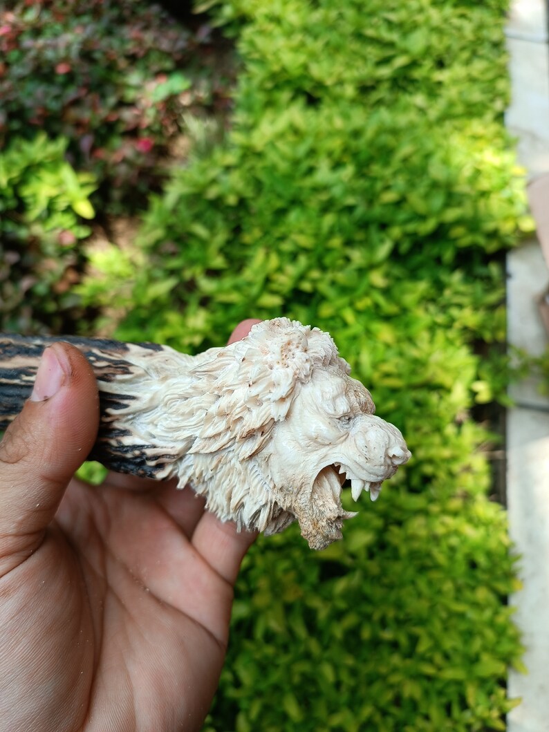 Deer Antler Carving Knife Handle Lion - Etsy