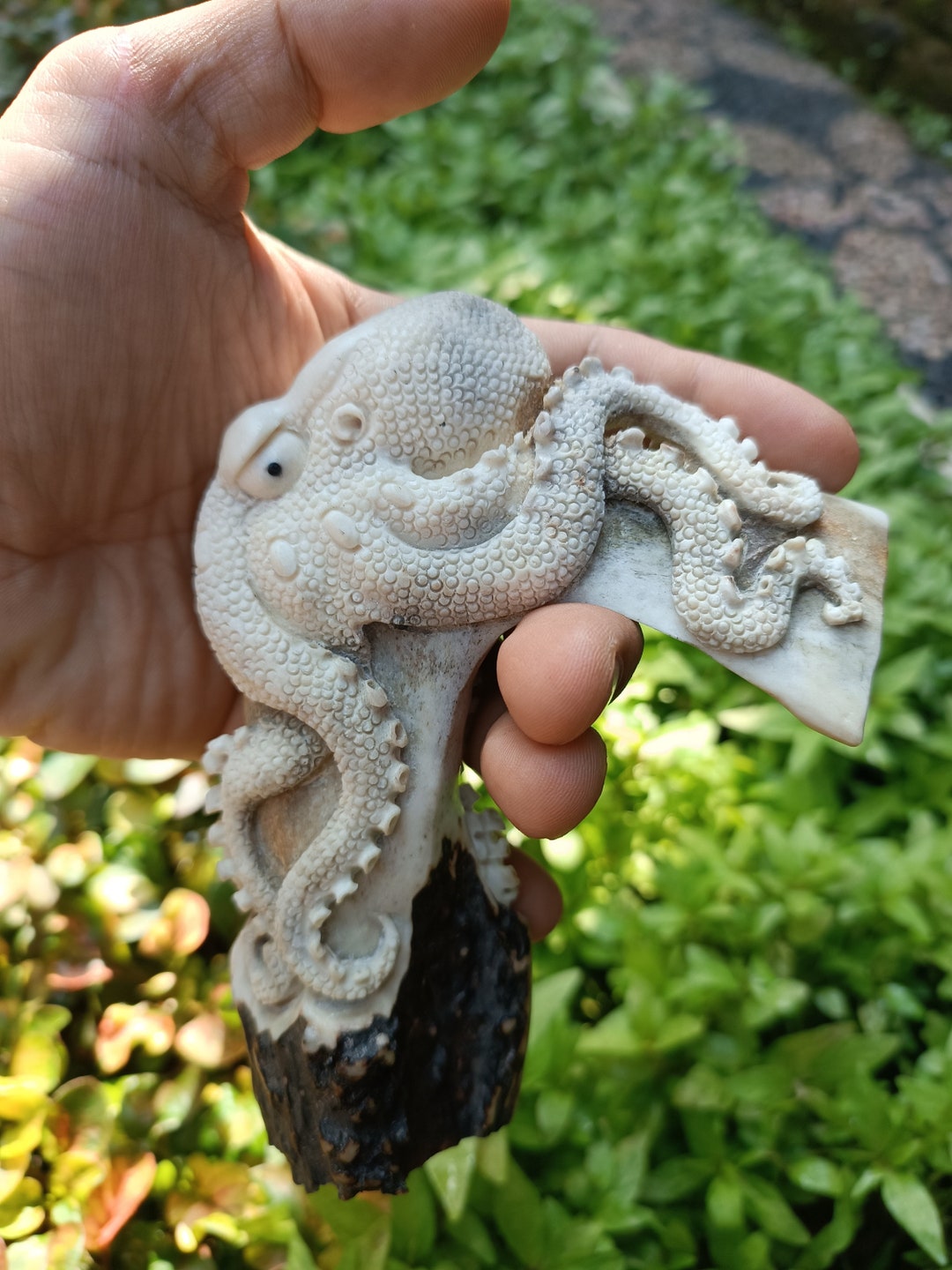 Deer Antler Carving Knife Handle Octopus - Etsy