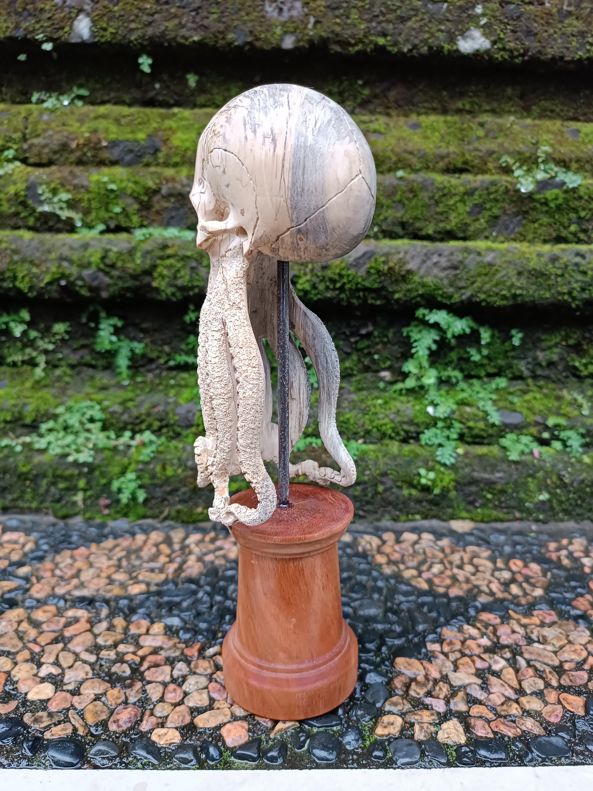 Octopus Skull Human Skull Carved Wooden Skull Sculpture - Etsy