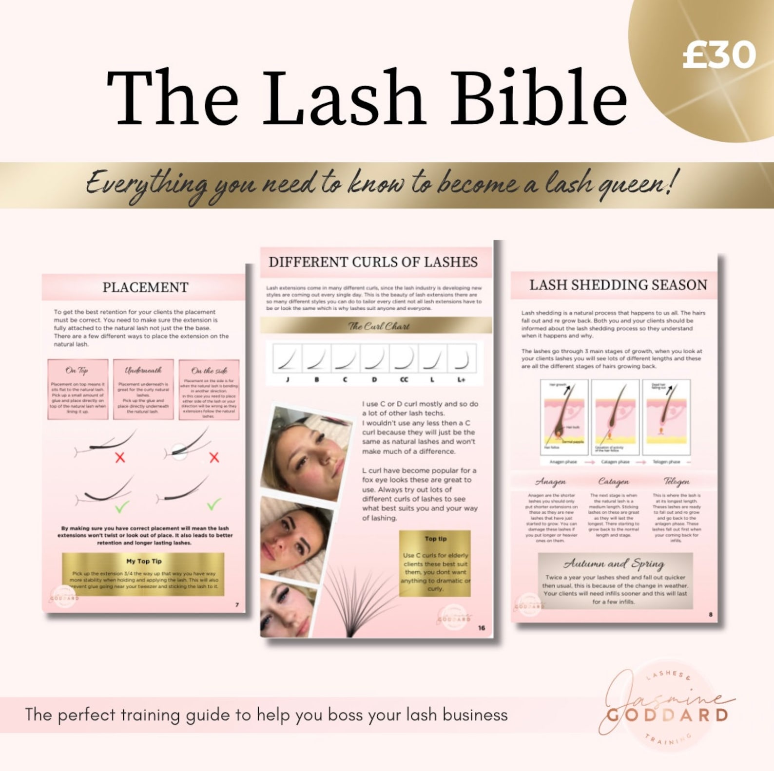 Eyelash Extension Training Manual, the Ultimate Lash Bible for ...
