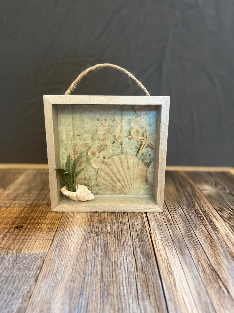 Shell Shadow Box - Etsy