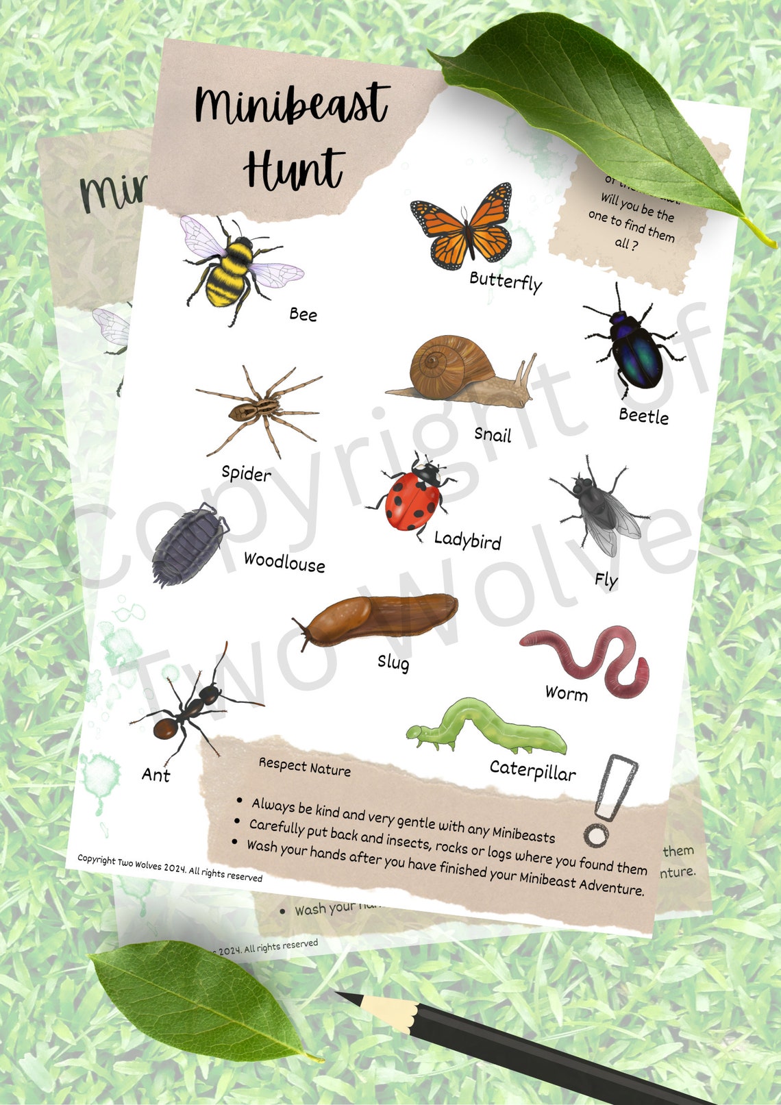 Printable Minibeast Scavenger Hunt PDF - Etsy