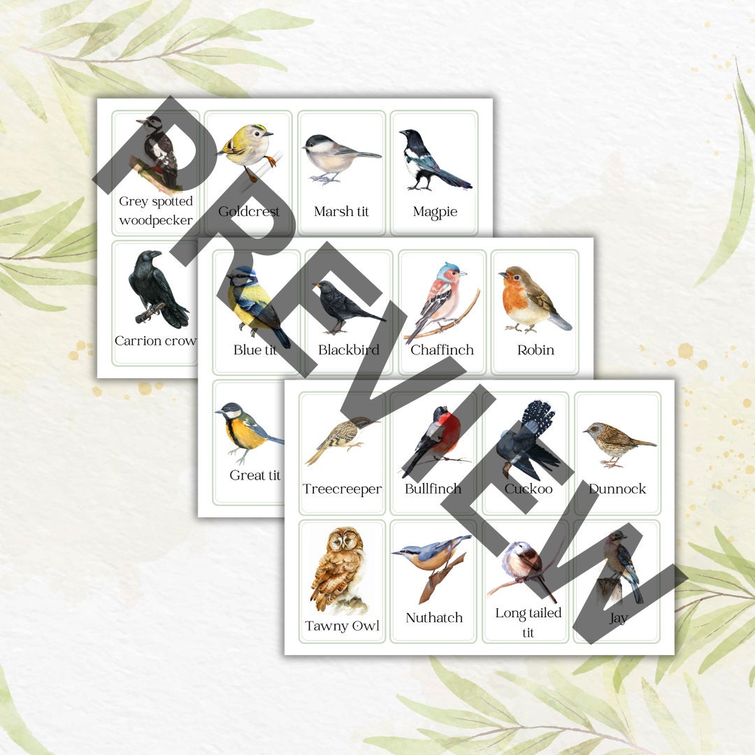 UK Bird Identification Flashcards - Etsy