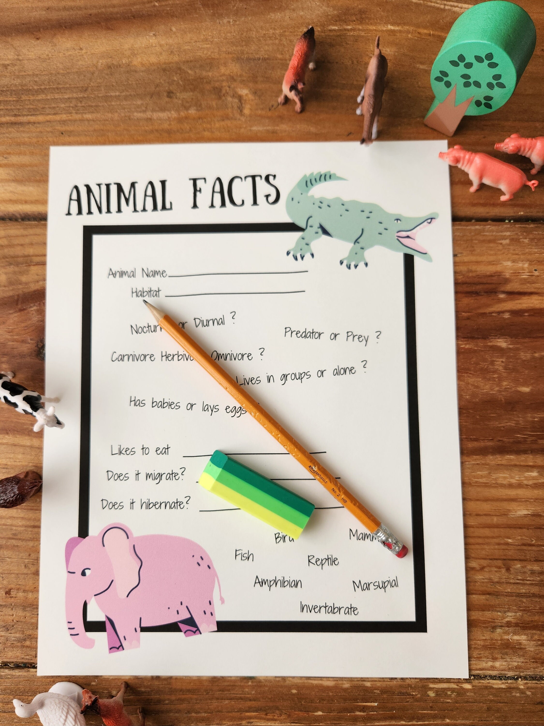 Animal Study Pages / Homeschool Printables / Charlotte Mason ...