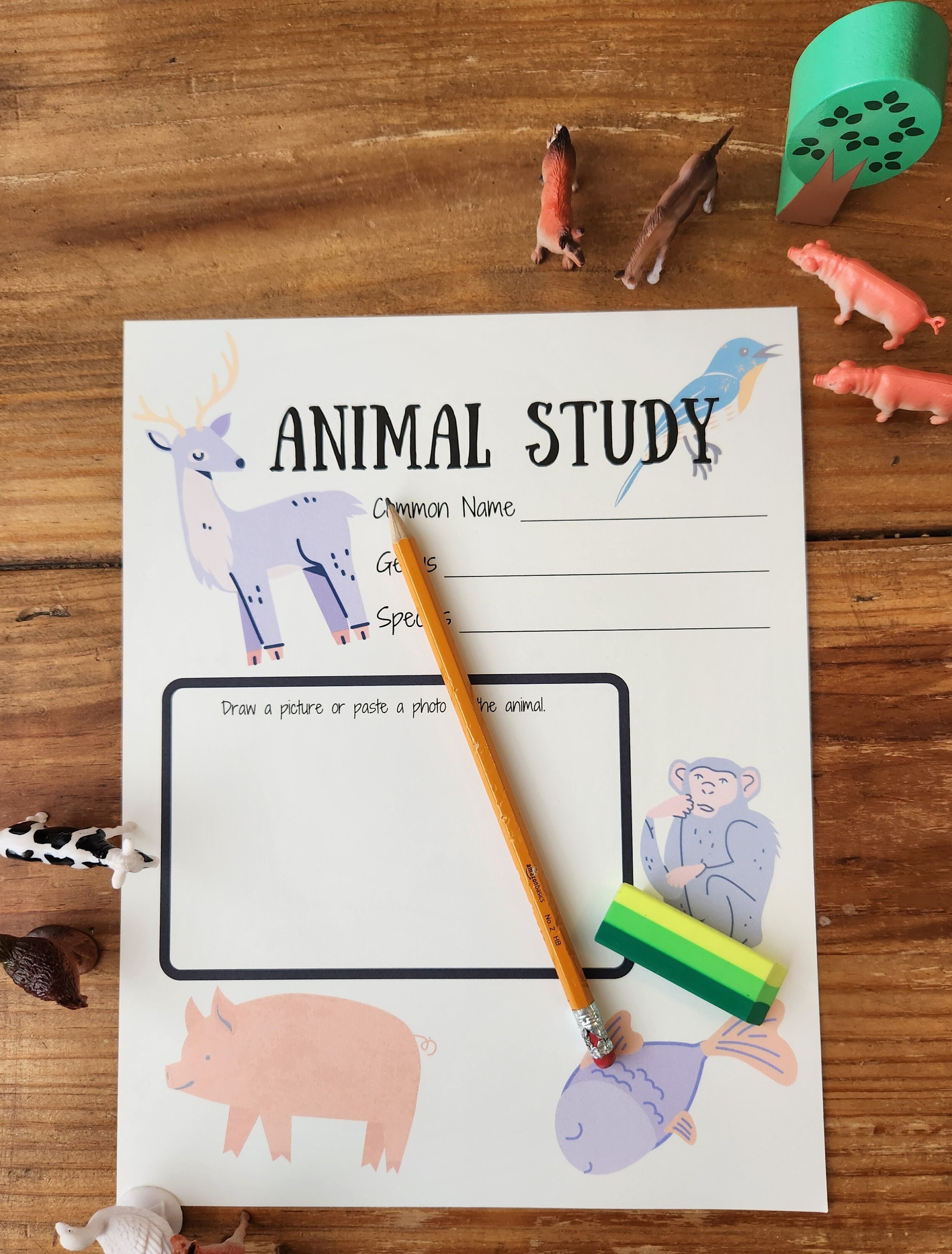 Animal Study Pages / Homeschool Printables / Charlotte Mason ...