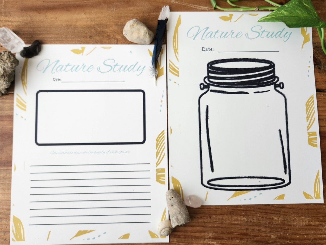 Nature Study Printable / Homeschool Printable / Homeschool Science ...