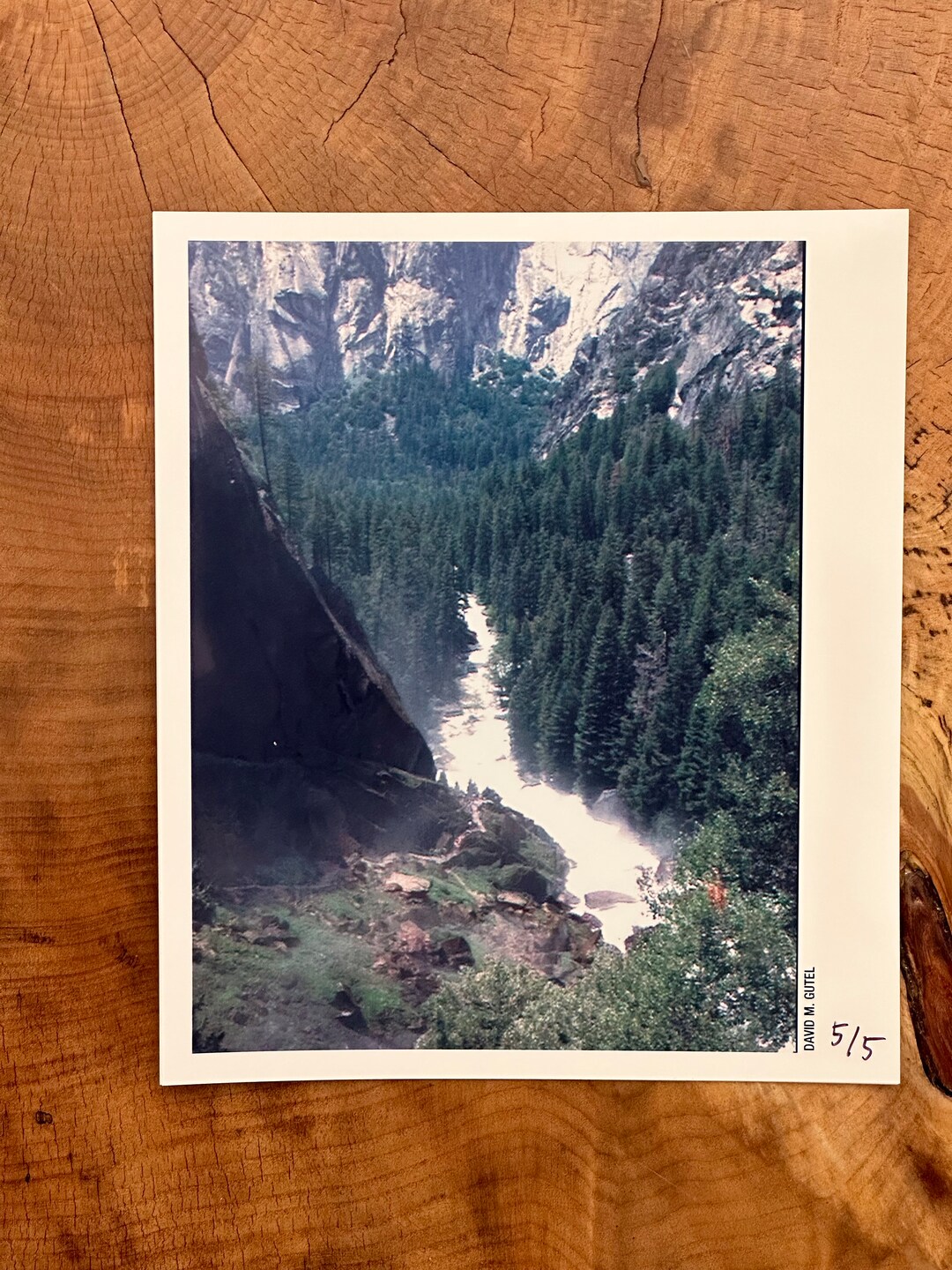 Liminal Adventure Video Floppy Original - Etsy