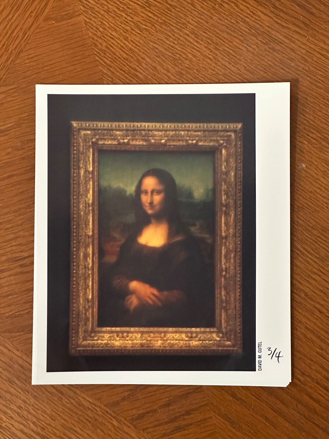 Mona Lisa En Floppy Disquette Video Floppy Original - Etsy