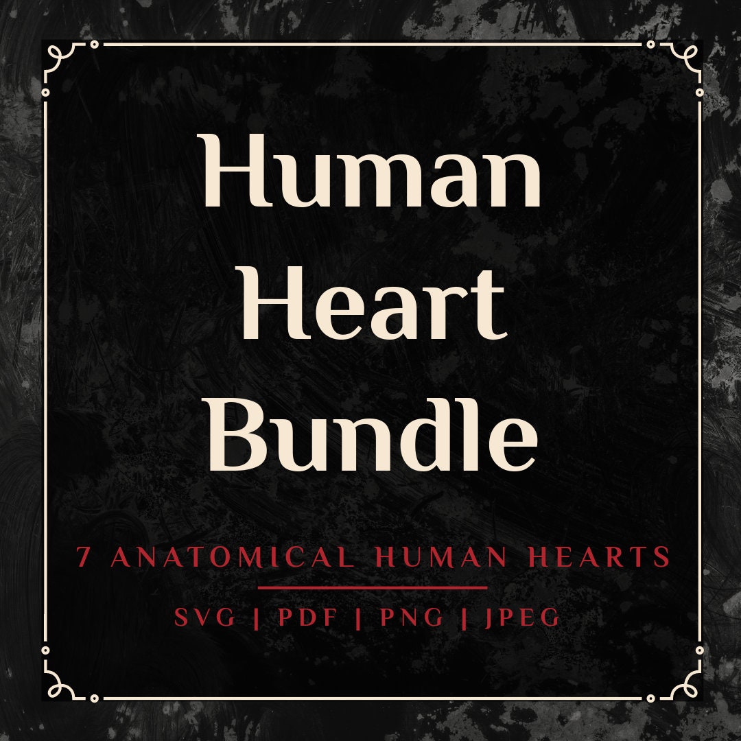 Human Heart Bundle | Svg, Png, Pdf, Jpeg | Cricut Template, Silhouette ...