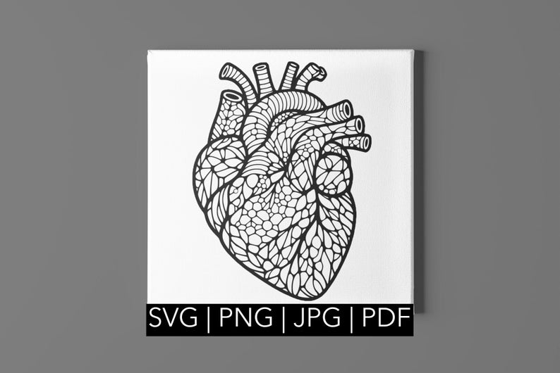 Human Heart Svg, Png, Pdf, Jpeg Cricut Template, Silhouette Template ...