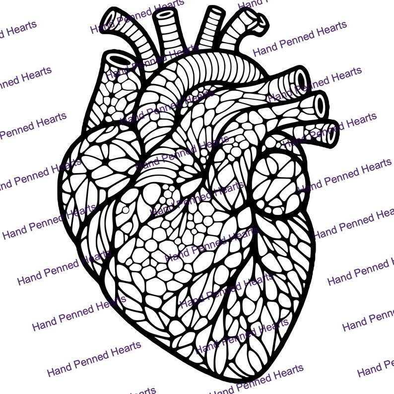Human Heart | Svg, Png, Pdf, Jpeg | Cricut Template, Silhouette ...