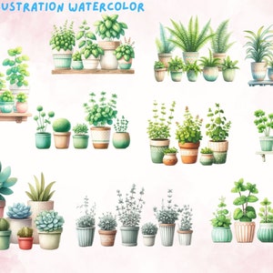House Plant Watercolor Clipart, Potted Plant Illustration, Greenery ...