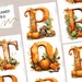 Pumpkin Alphabet Letters Clipart Png, Autumn Pumpkin Clipart Wedding ...