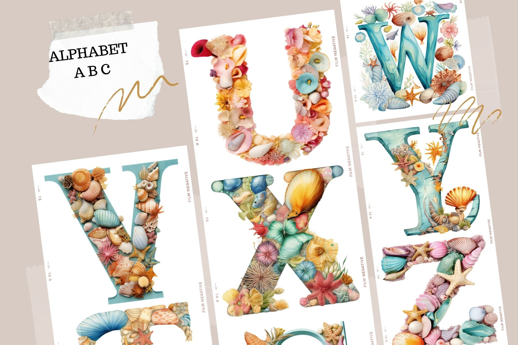 Corals and Shellfish Alphabet Clipart, Coral Reef Letters, Alphabet ...