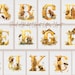 Bee Alphabet Bundle, Bee Png, Honey Doodle Letters, Clip Art Letters ...