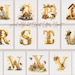 Bee Alphabet Bundle, Bee Png, Honey Doodle Letters, Clip Art Letters ...