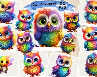 Colorful Cute Owl Clipart PNG Bundle, Watercolor PNG Files for ...