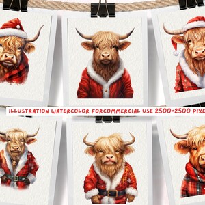 Highland Cow PNG, Cute Cow Sublimation, Western Clipart, Digital ...