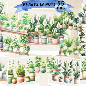House Plant Watercolor Clipart, Potted Plant Illustration, Greenery ...