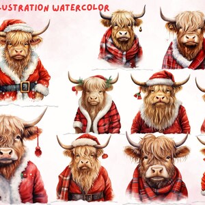 Highland Cow PNG, Cute Cow Sublimation, Western Clipart, Digital ...