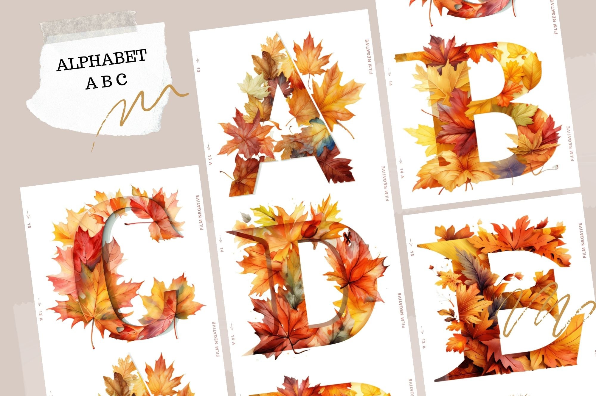 Fall Alphabet Watercolor Clipart, Floral Autumn Letters Illustrations ...