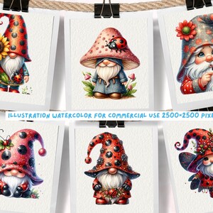 Cute Ladybug Gnomes Clipart, Spring Gnome, Love Bug, Valentine ...