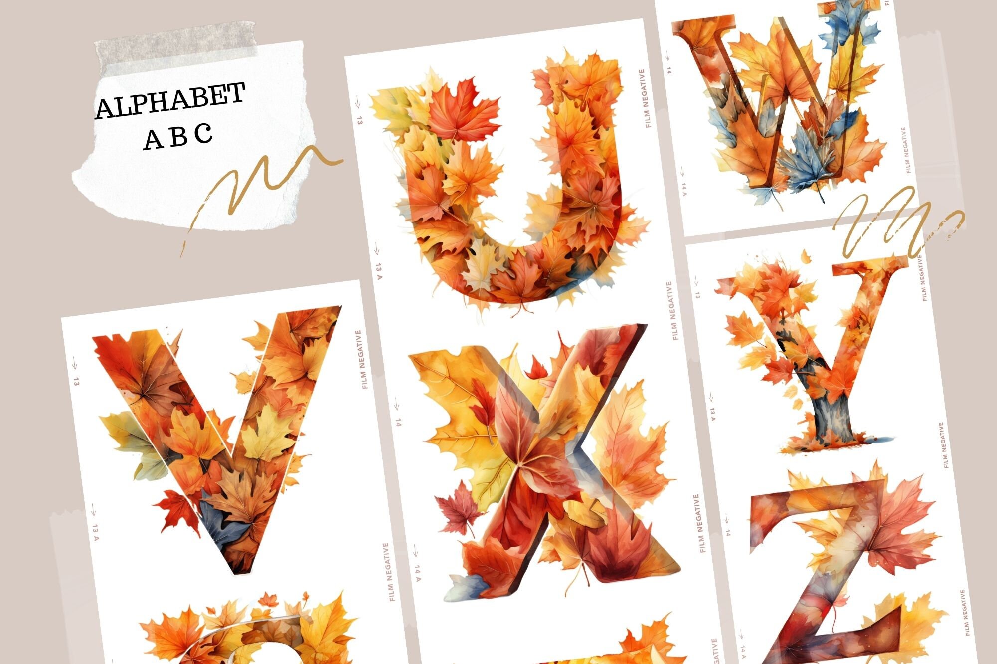 Fall Alphabet Watercolor Clipart, Floral Autumn Letters Illustrations ...