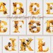 Honeybee Alphabets and Number, Bee Font, Bee Alphabet, Animal Font ...