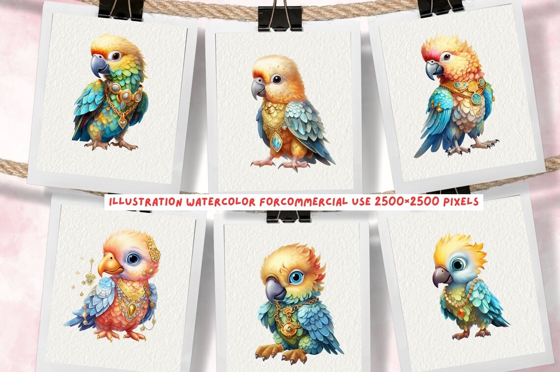 Cute Baby Parrots Clip Art Digital Stickers Sublimation - Etsy
