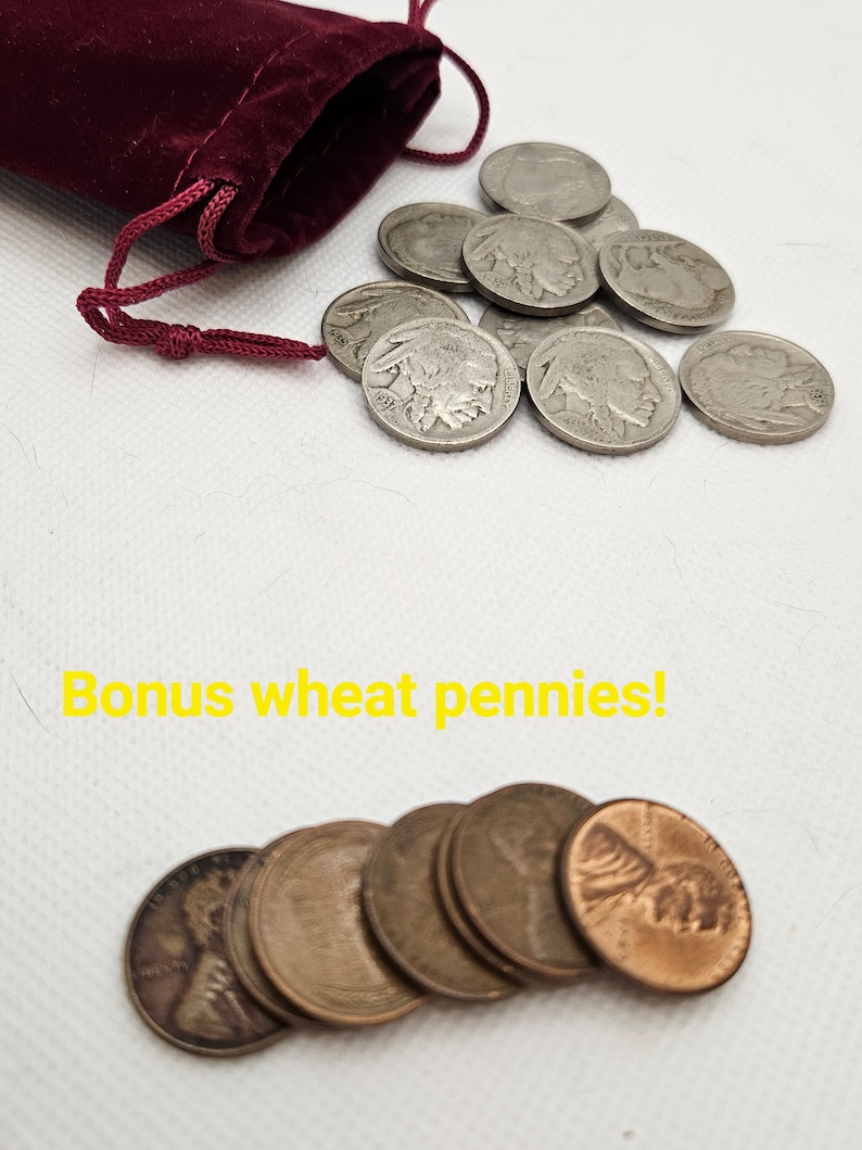 Buffalo Nickels - 10 Coin Grab Bag - 1913 - 1938 US Coins Mint Indian ...