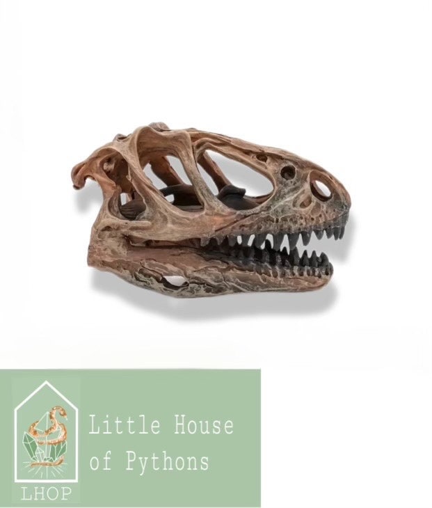 TREX Faux Skull Hide - Etsy