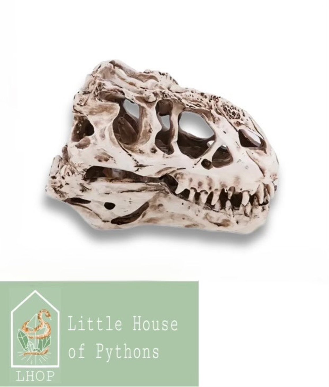 TREX Faux Skull Hide - Etsy