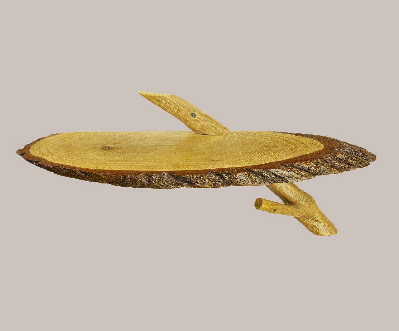 Sculptural Shelf, Hardwood Floating Shelf Oak Slice Oval Branch, Oak ...