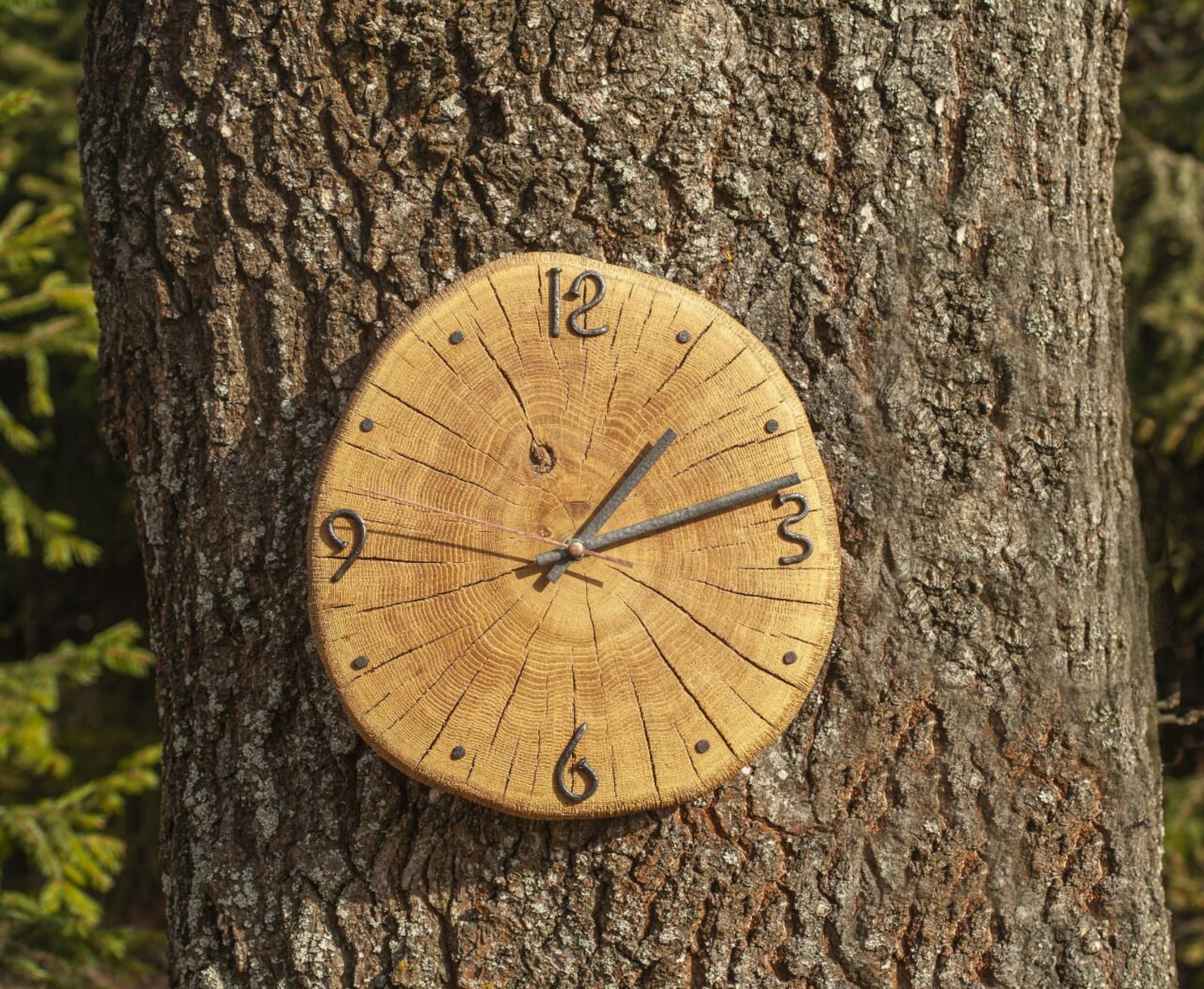 Natural Oak Wall Clock, Live Edge Clock, Very Cool Clocks,clock Face ...