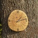 Natural Oak Wall Clock, Live Edge Clock, Very Cool Clocks,clock Face ...