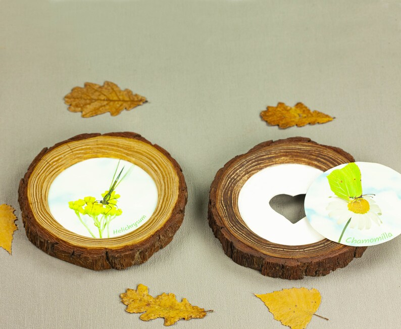 Spruce Wood Log Cross-section Photo Frame , Picture Frames, Magic Frame ...